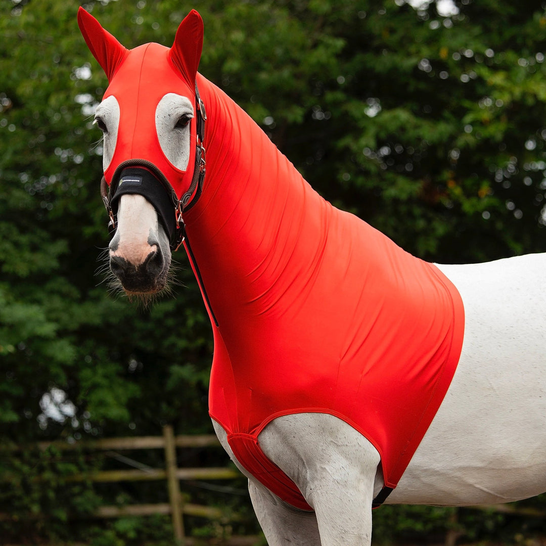 HORZEHOODS® The ORIGINAL HORZEHOOD™ Stretch Hood (WITH EARS) – Horzehoods